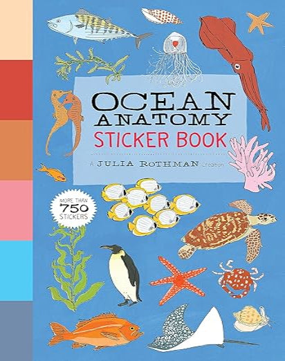 Ocean Anatomy Sticker Book – Gold Leaf Nat